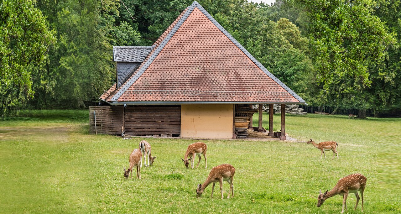Minigolf-Anlage am Hirschgarten | Bad Homburg v. d. Höhe