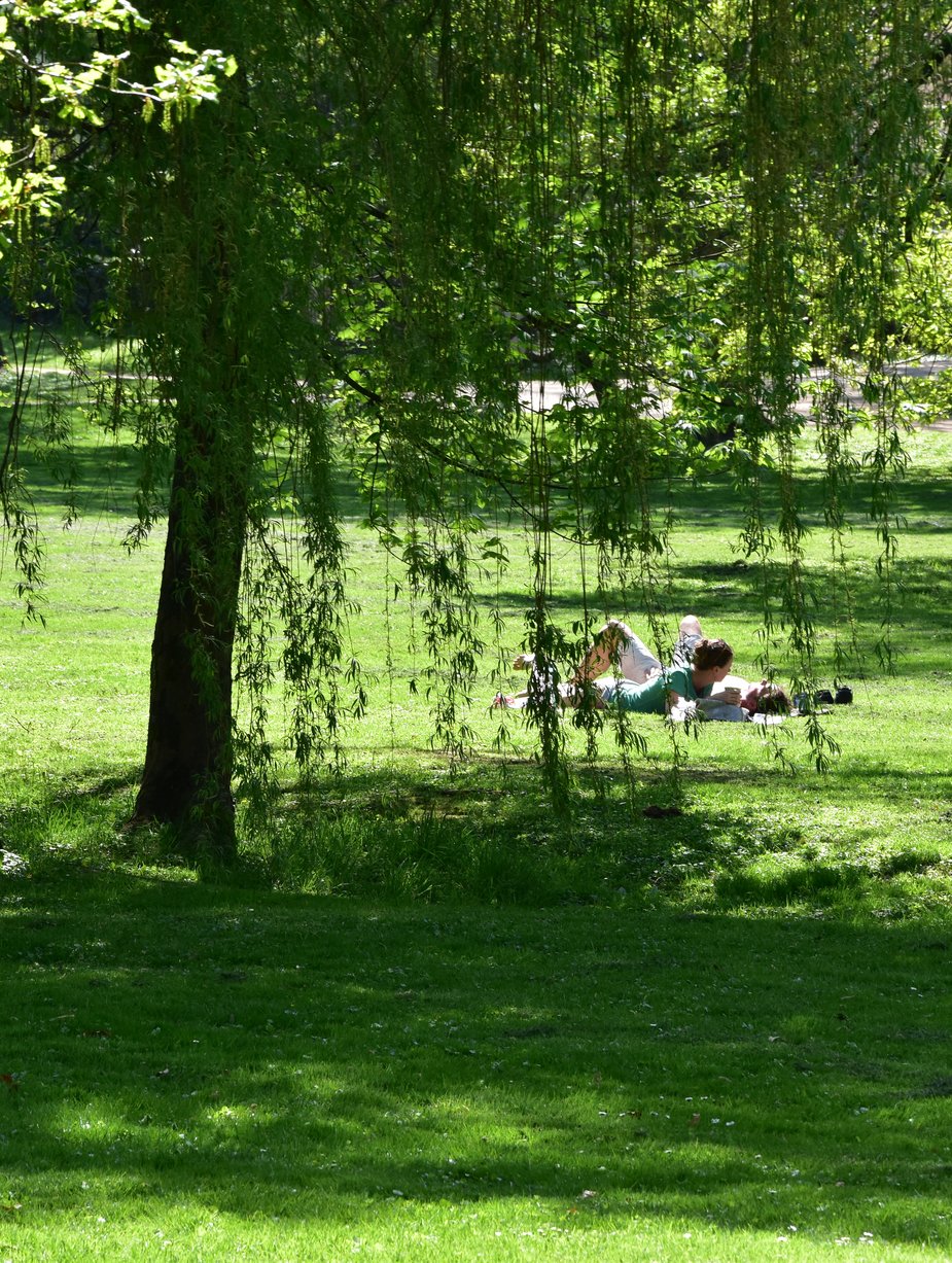 Jubiläumspark Bad Homburg v. d. Höhe | Bad Homburg v. d. Höhe