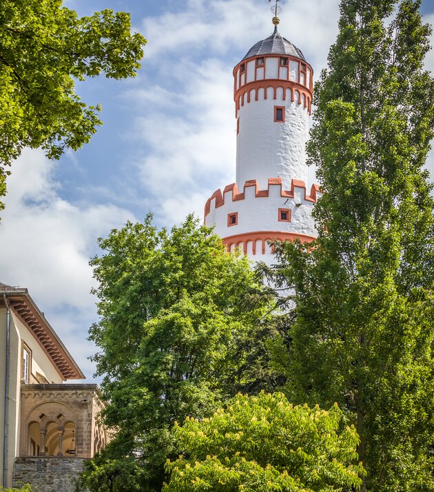 Schloss Bad Homburg v. d. Höhe | Bad Homburg v. d. Höhe