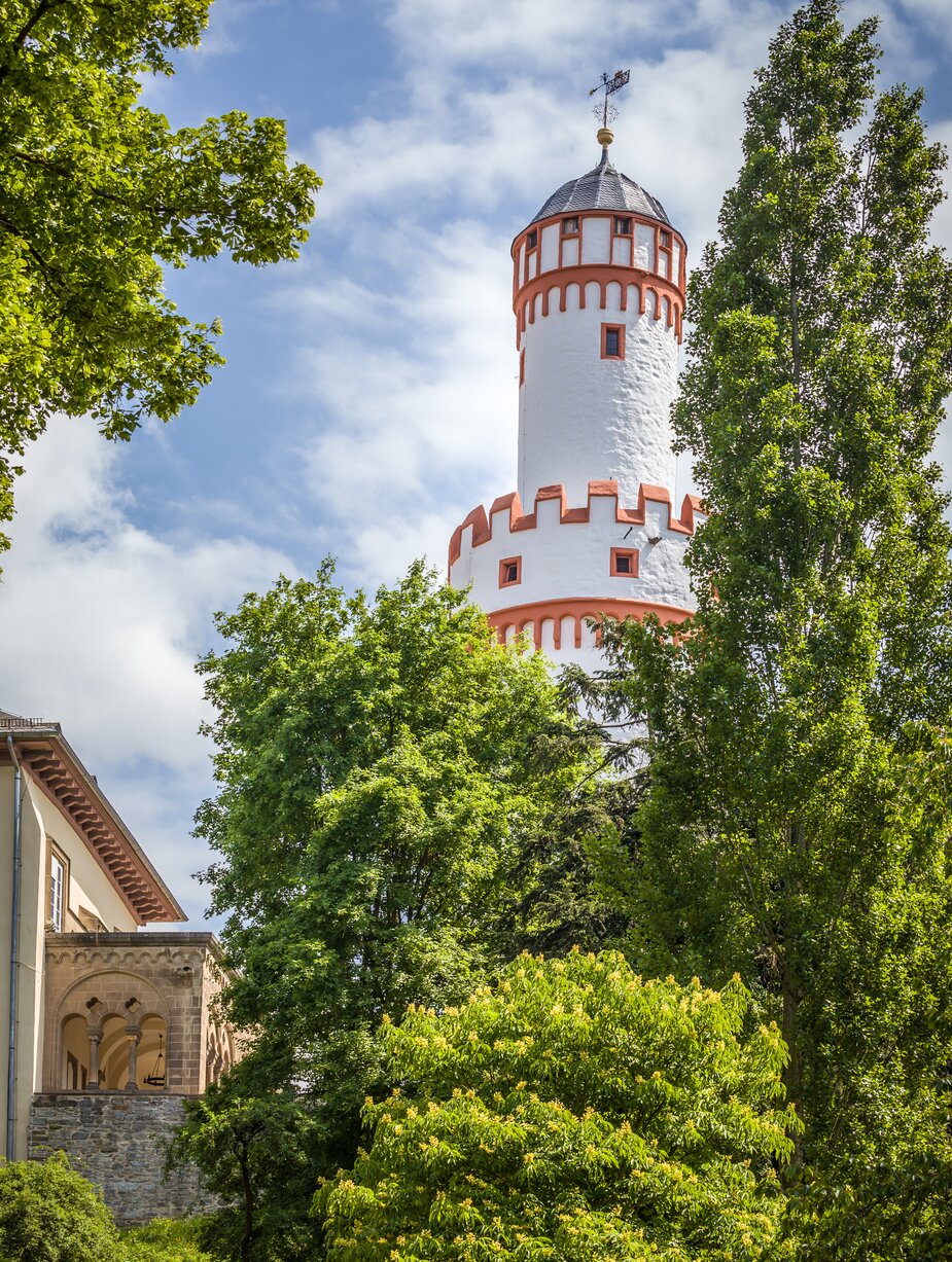 Schloss Bad Homburg v. d. Höhe | Bad Homburg v. d. Höhe