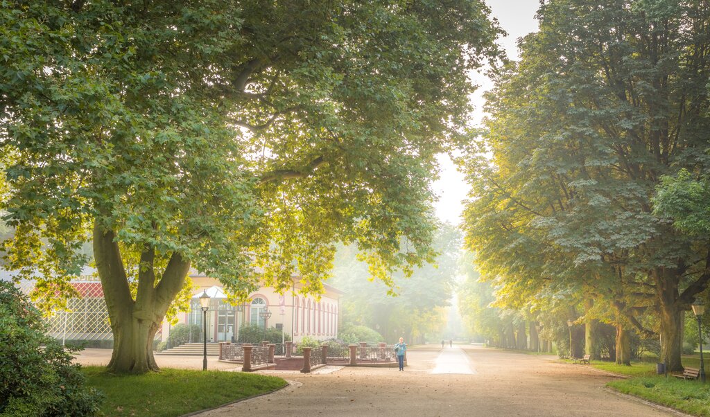 Bad Homburg Open | Bad Homburg v. d. Höhe