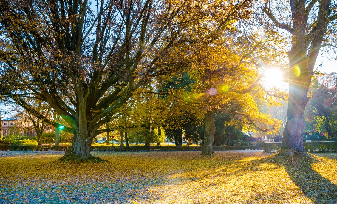 About our city | Bad Homburg v. d. Höhe