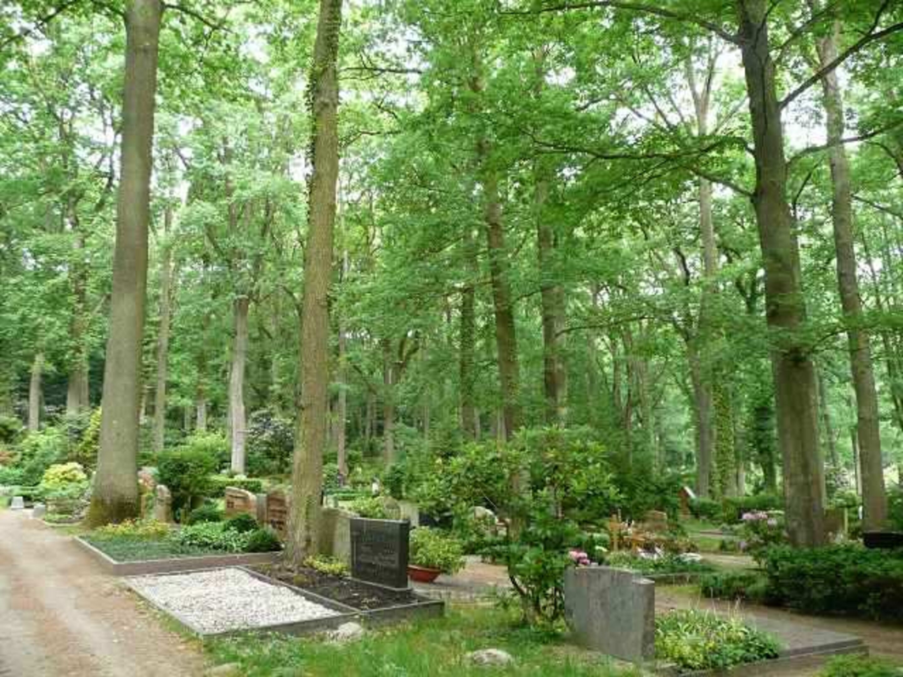 Friedhöfe | Bad Homburg v. d. Höhe