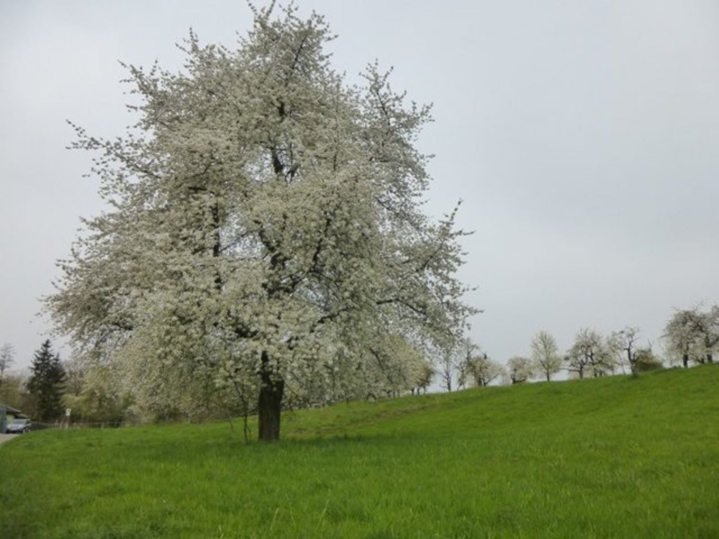 Zusammenfassung | Bad Homburg v. d. Höhe